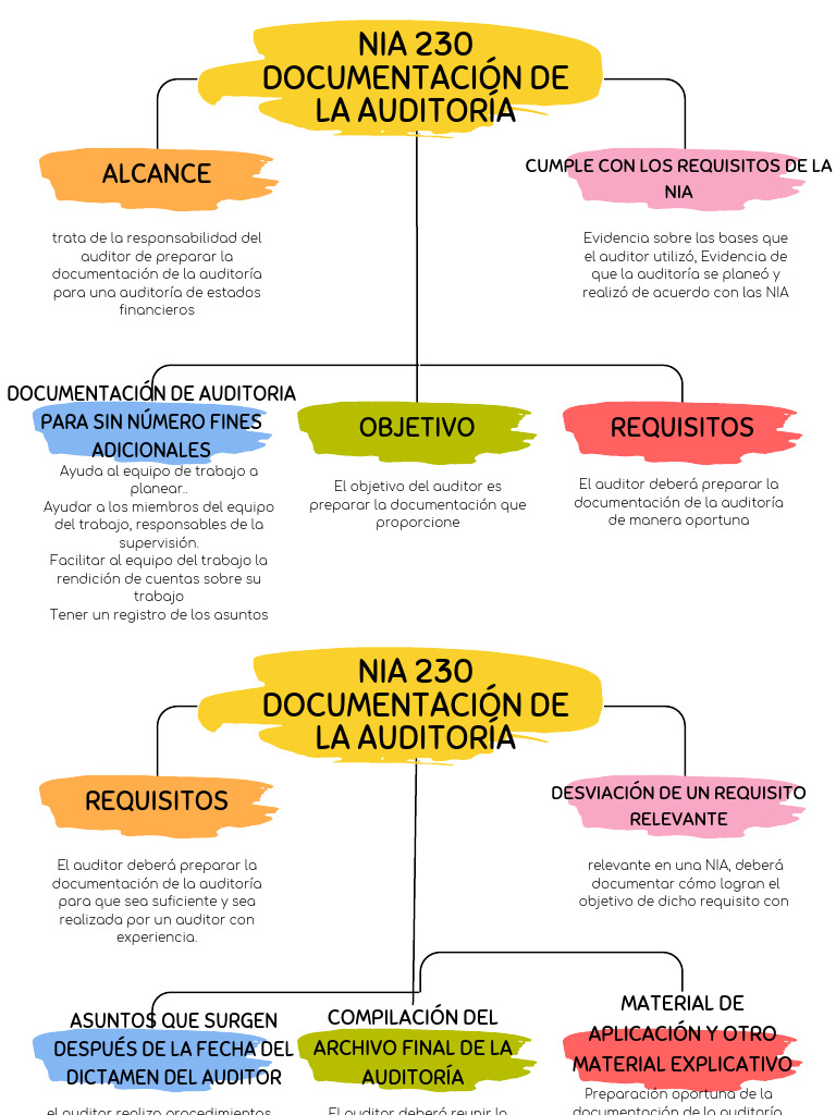 Mapa Conceptual 230 | PDF | Auditoría