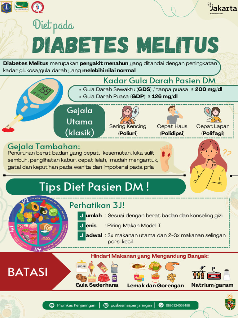 Diet DM | PDF