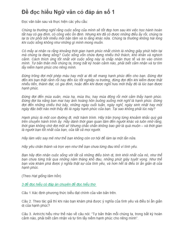 Đề đọc hiểu Ngữ văn hsg | PDF