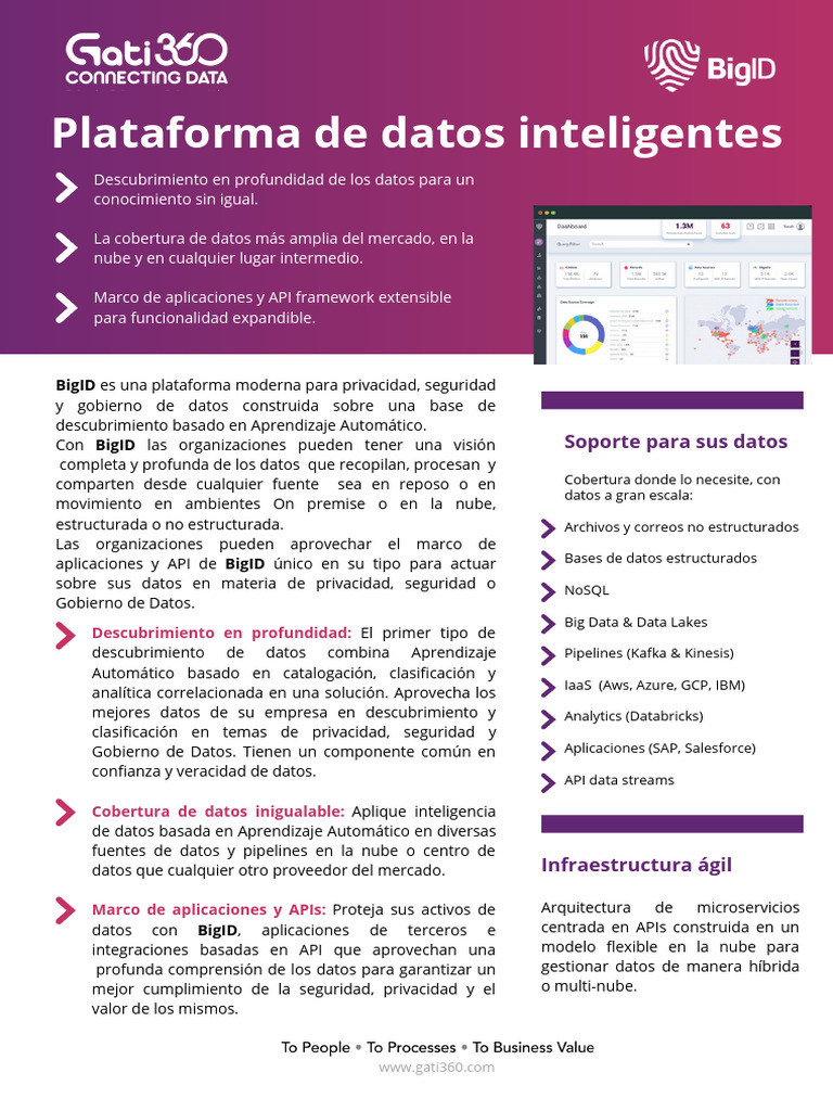 Gati-BigID Plataforma de Datos Inteligente | PDF | Computación en la ...