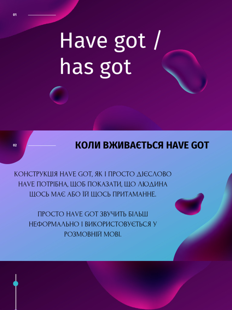 Have Got Has Got | PDF