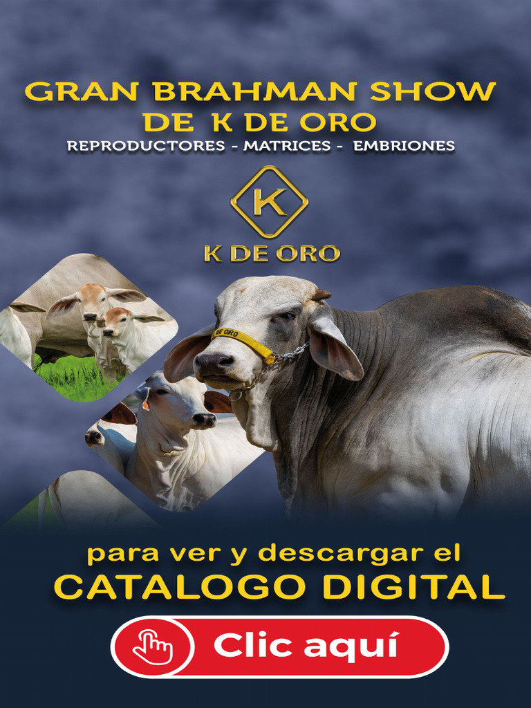 Para Ver Catalogo | PDF