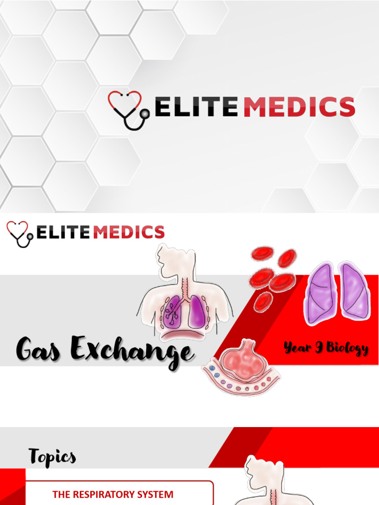 Year 9 Biology: Gas Exchange & Respiration | PDF | Lung | Respiratory Tract
