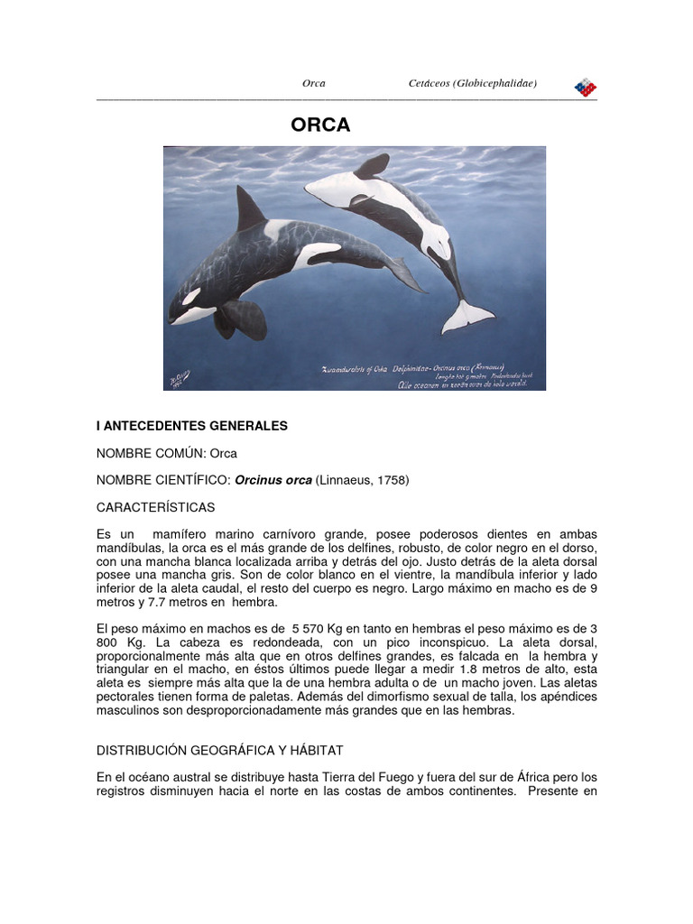 Orca | PDF | Cita | Mamíferos
