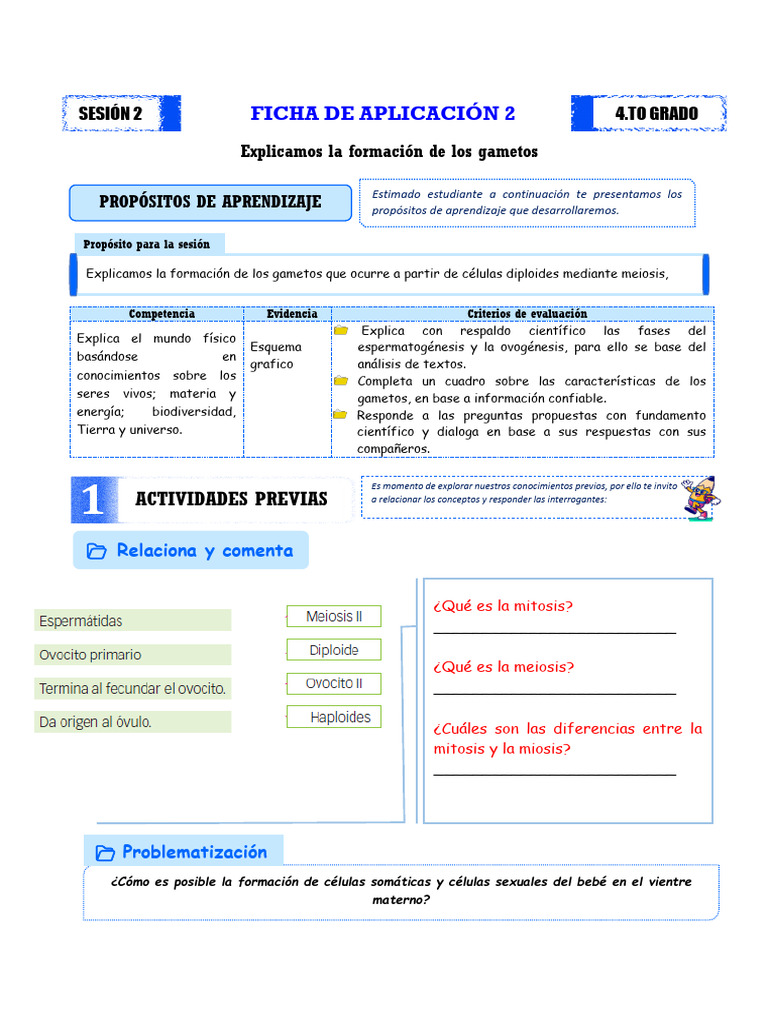 4°_FICHA_DE_APLICACIÓN-SESIÓN 2-SEM.1-EXP.7-CYT | PDF | Cariotipo | Genética