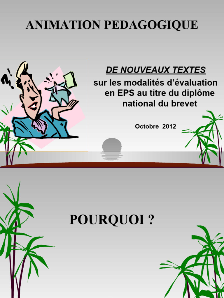 Animation Pedagogique NC | PDF | Pédagogie | Apprentissage