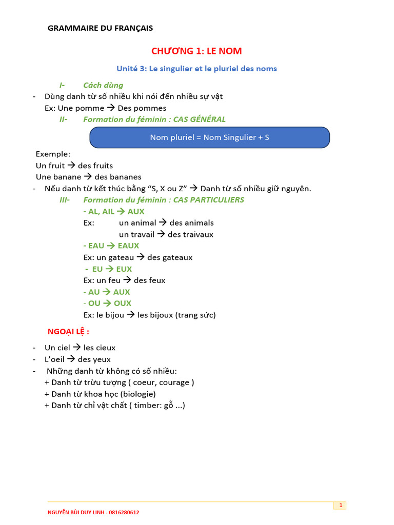 3. LE SINGULIER ET LE PLURIEL DES NOMS | PDF