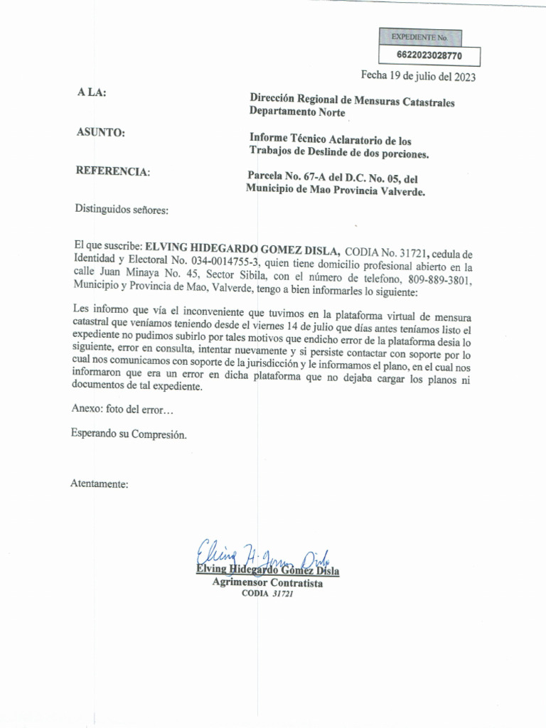 Informe Complementario | PDF