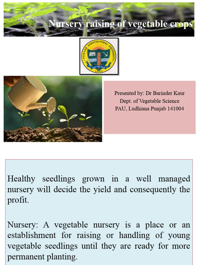 Nursery Raising of Vegetable Crops | PDF | Sowing | Plant Nursery