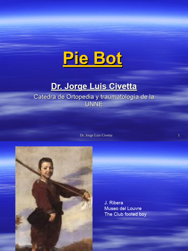 Pie Bot Clase de La Catedra | PDF | Enfermedades y trastornos ...