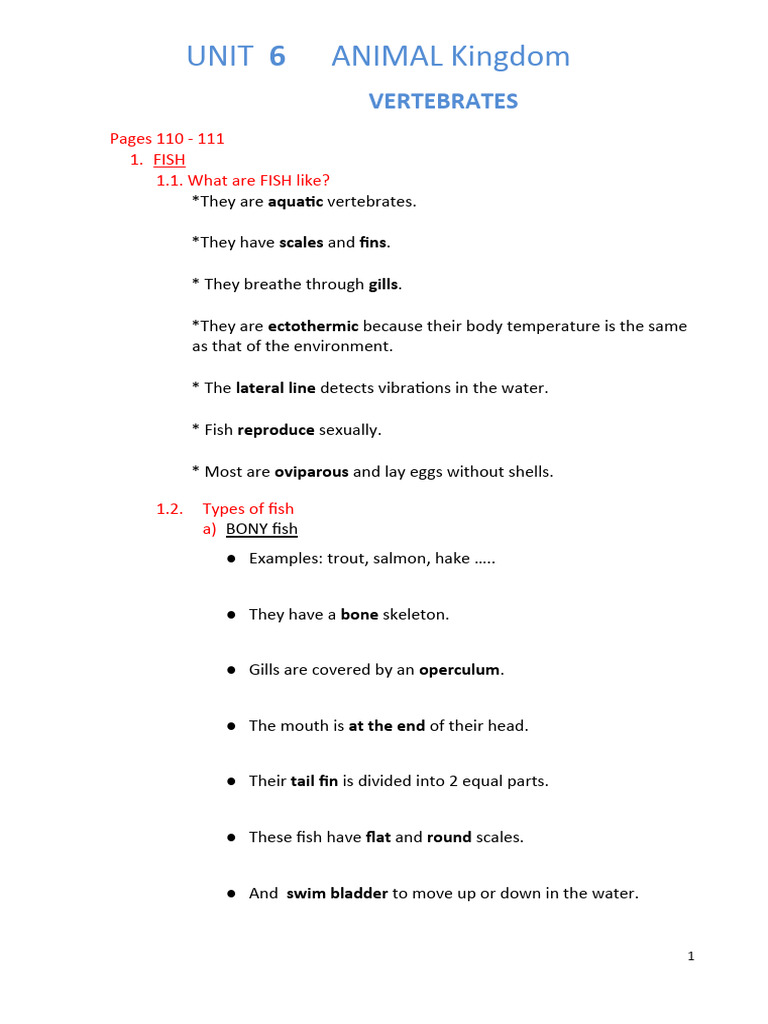UNIT 6 - VERTEBRATES - Curso 2020 - 21 | PDF | Fish | Birds