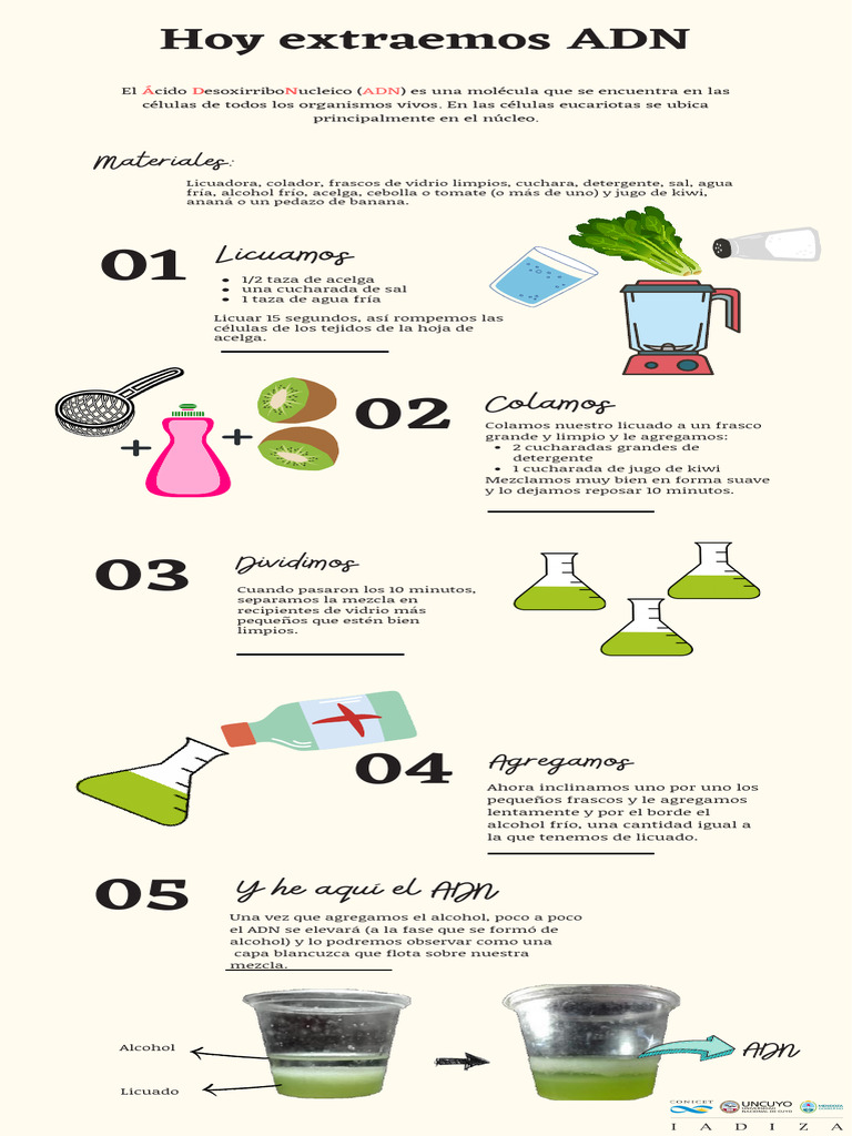 Trabajo de Laboratorio Extraccion de ADN IADIZA | PDF | Membrana celular | Adn