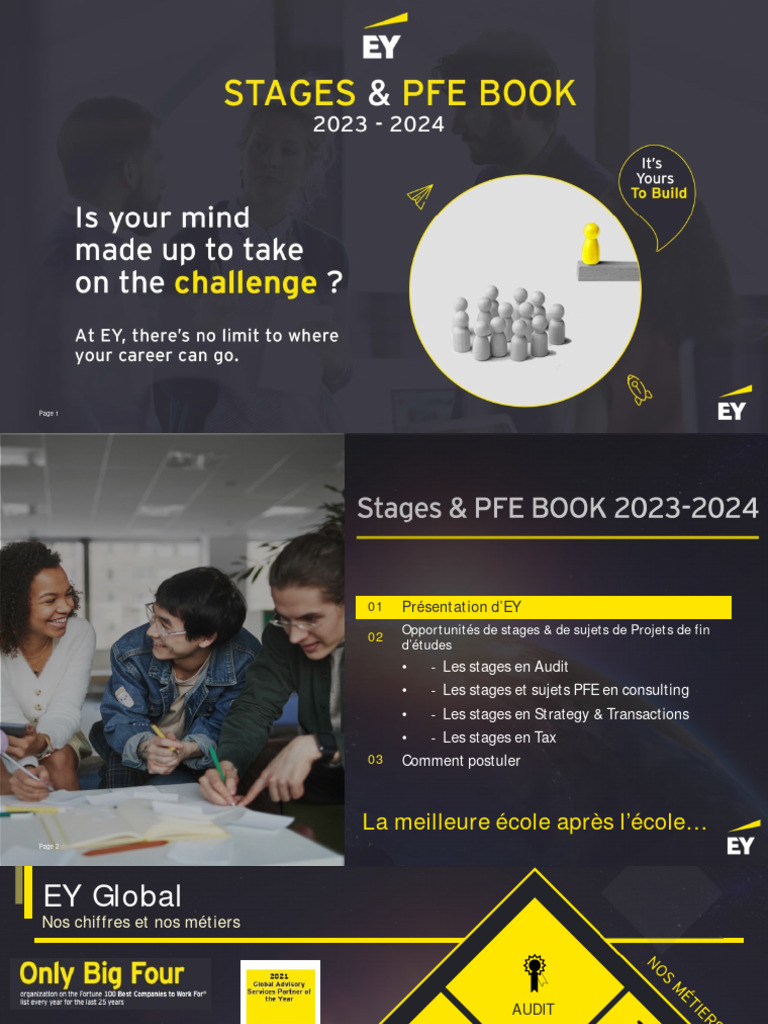 Stages et PFE EY 2023-2024 | PDF | Application | Microsoft