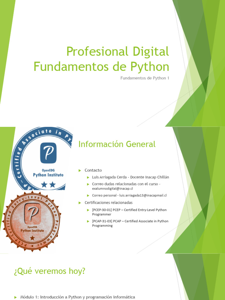 Profesional Digital Fundamentos De Python 1 Clase 01 Pdf Programación De Computadoras 