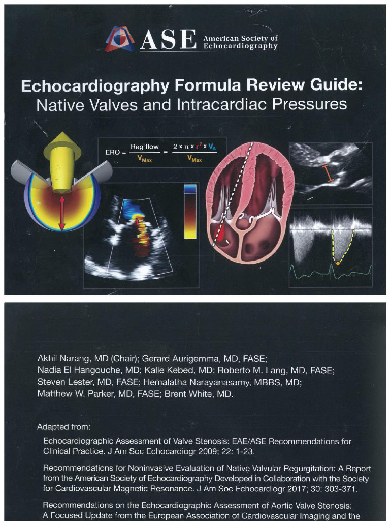 ASE Echo Formulae | PDF