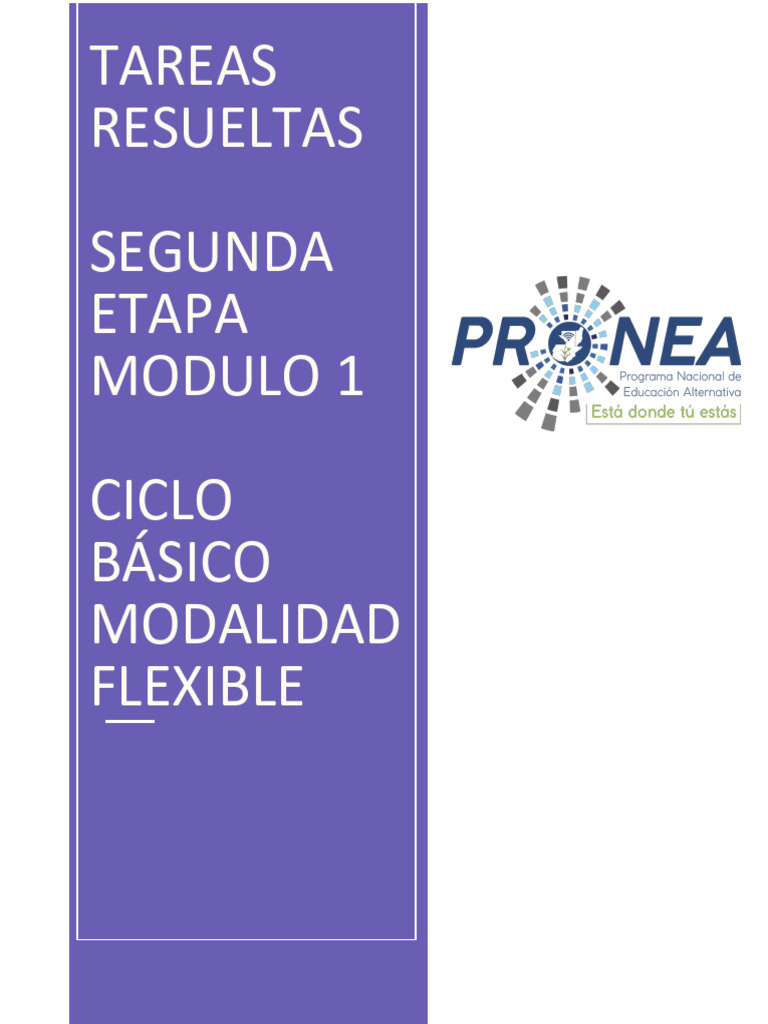 Tareas Resueltasbásico E2 M1 | PDF | Número racional | Conjunto (Matemáticas)