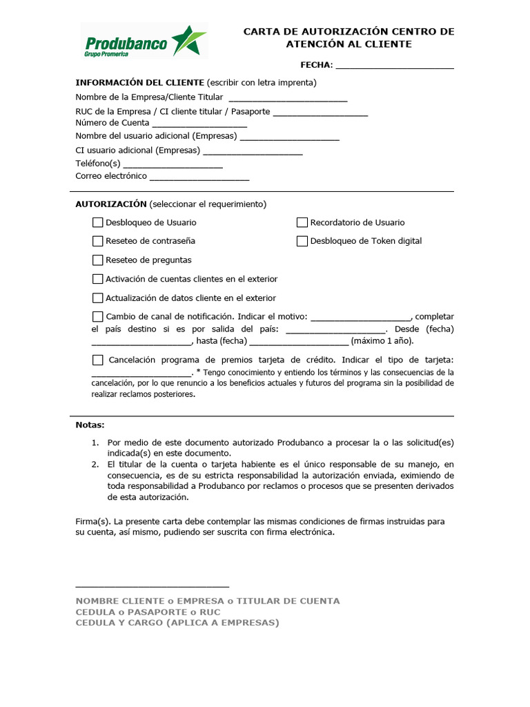 Formato Carta Autorización | PDF