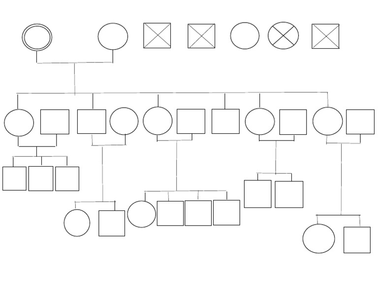 Geno Gram | PDF Geno Gram | PDF