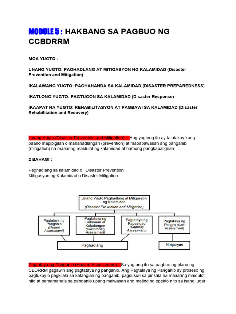 Module 5 - Hakbang Sa Pagbuo NG CBDRRM | PDF