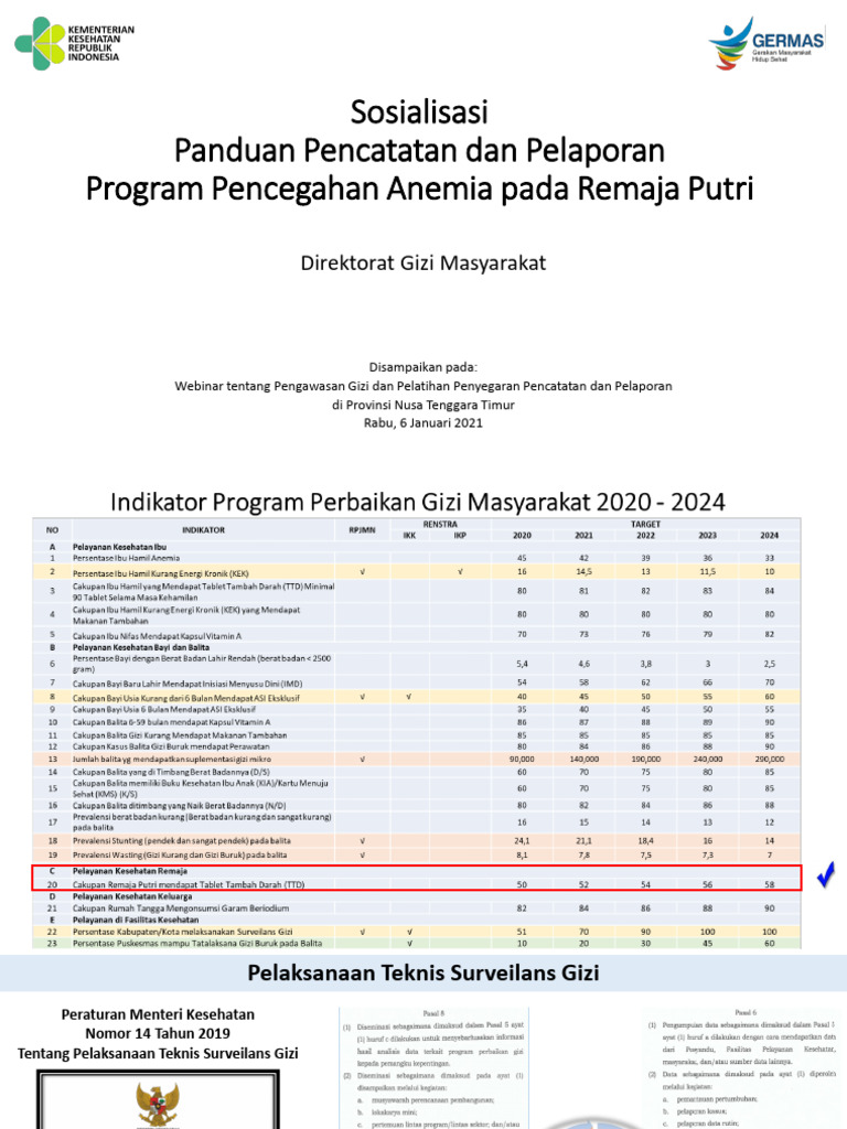 Materi 2 Pencatatan Pelaporan TTD Rematri - NTT | PDF