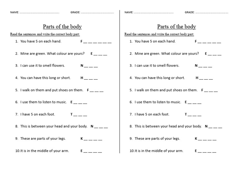 Parts of The Body Test | PDF