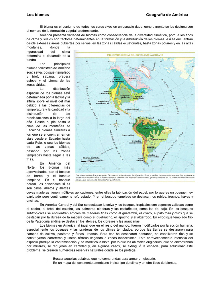 Biomas y Bosques en América | PDF | Selva | Los bosques