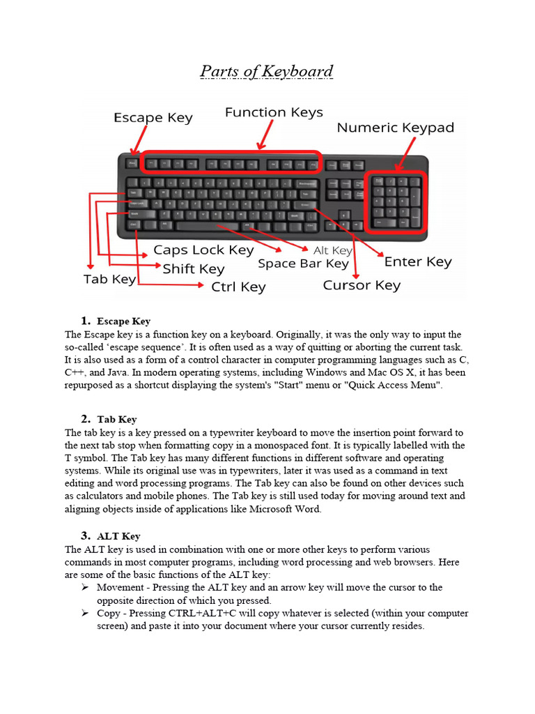 Keyboard Mastery Notes | PDF | Computer Keyboard | Control Key
