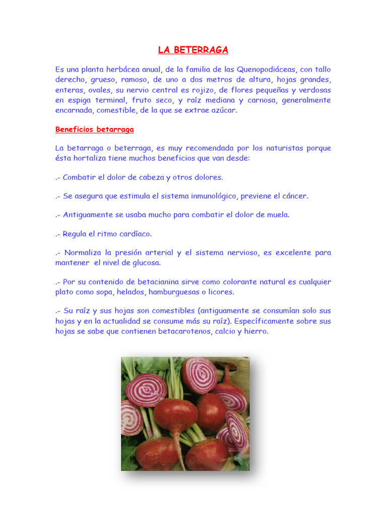 Beneficios y propiedades de la beterraga | PDF | Maíz | Alimentos