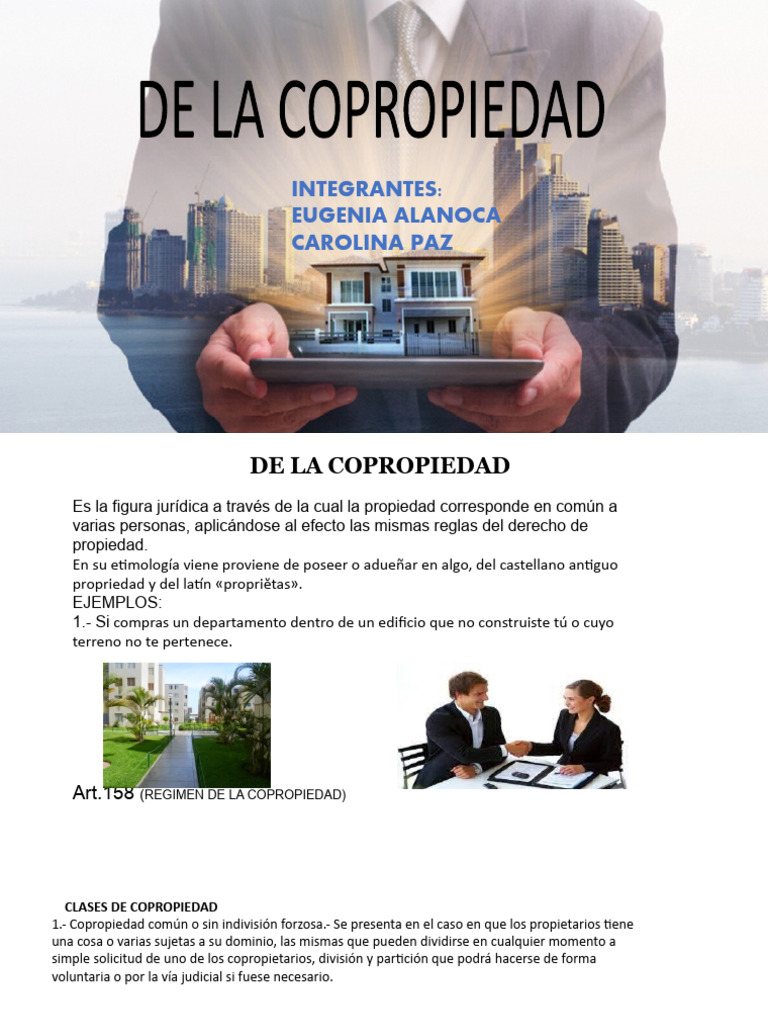 Clases y Derechos en Copropiedad | PDF | Condominio | Propiedad