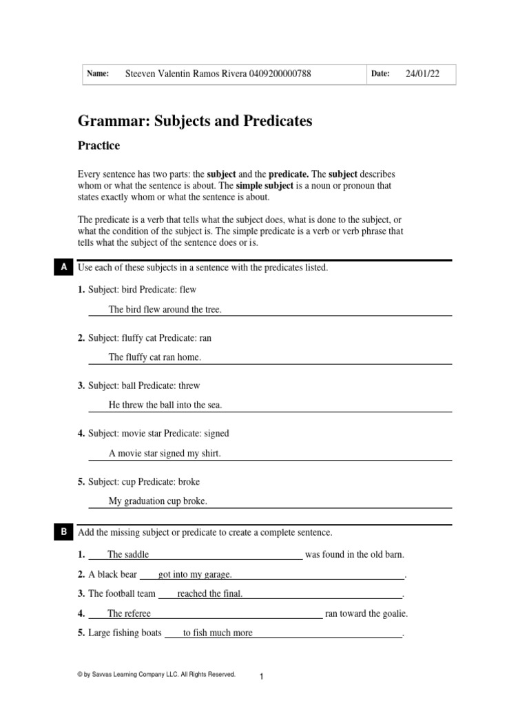 Exercises Sub | PDF | Subject (Grammar) | Predicate (Grammar)