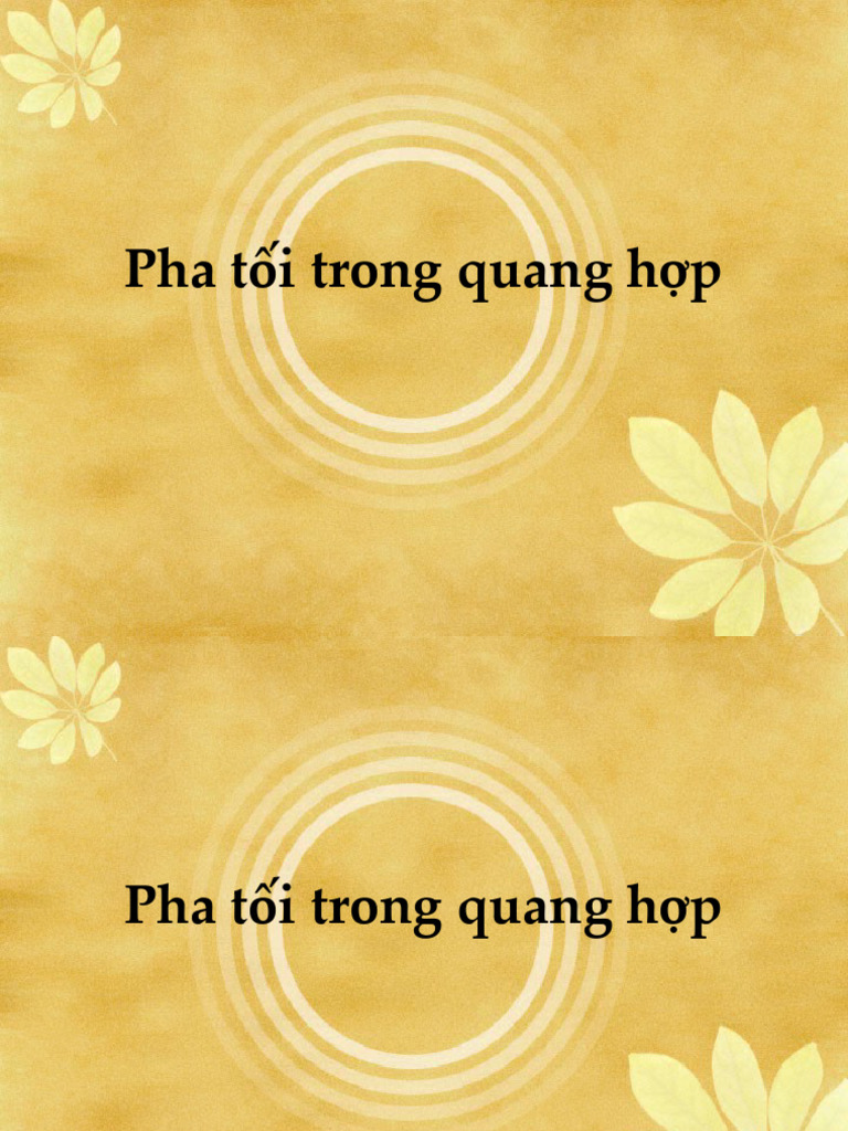 Pha Toi Quang Hop | PDF