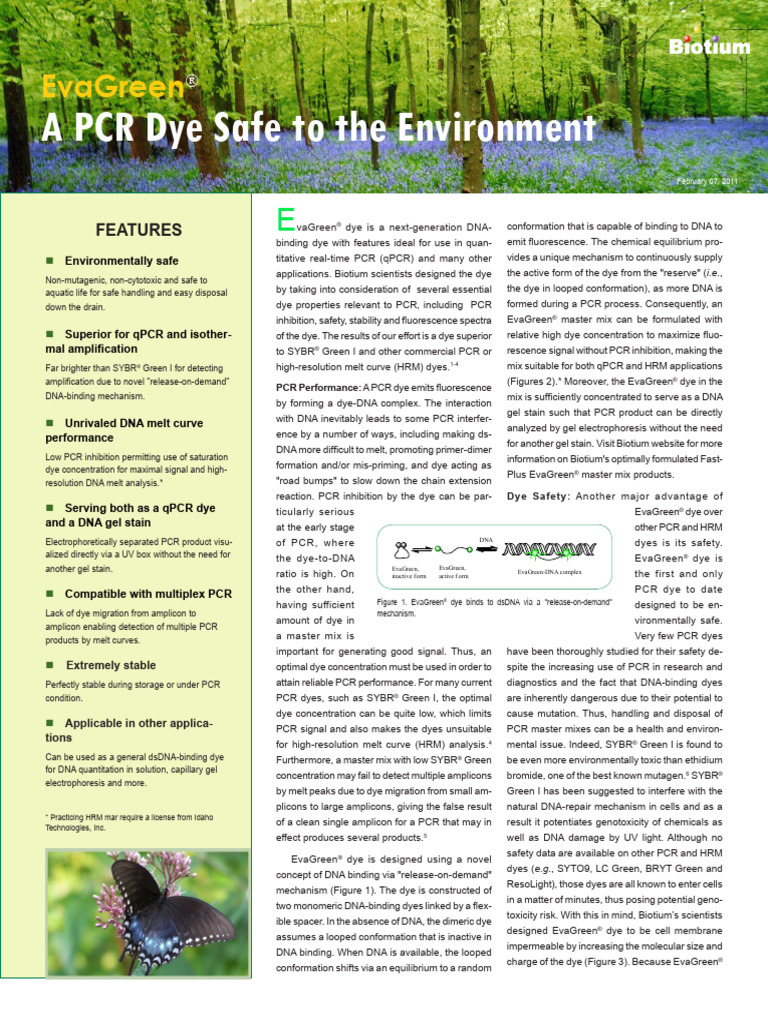 EvaGreen Dye Flyer 31000 | PDF | Real Time Polymerase Chain Reaction ...