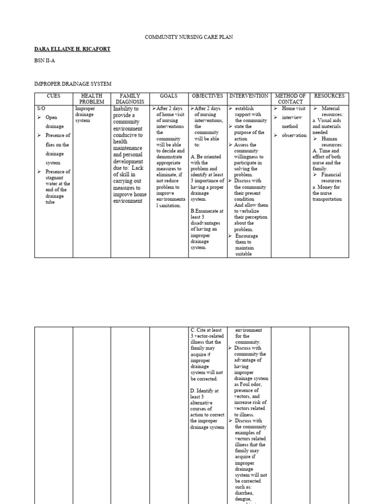 CommunityNCP Ricafort140717 | PDF | Nursing | Health Sciences