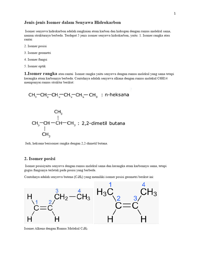 Jenis Isomer Hidrokarbon | PDF