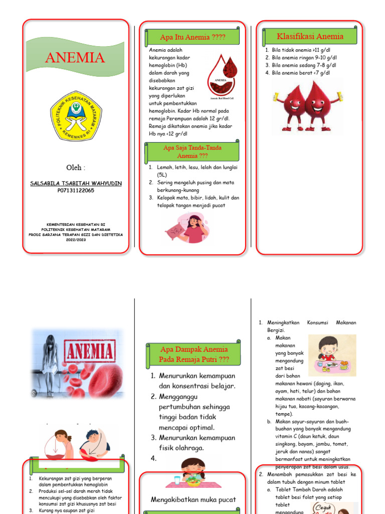 Leaflet Anemia | PDF | Kesehatan Holistik