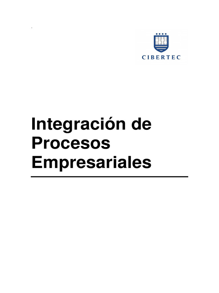 Integracion de Procesos Empresariales | PDF | Business | Economias