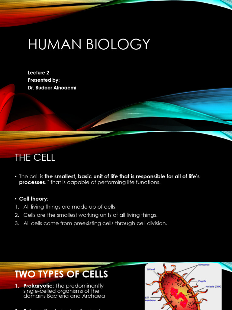 Cell | PDF | Cell (Biology) | Cell Membrane