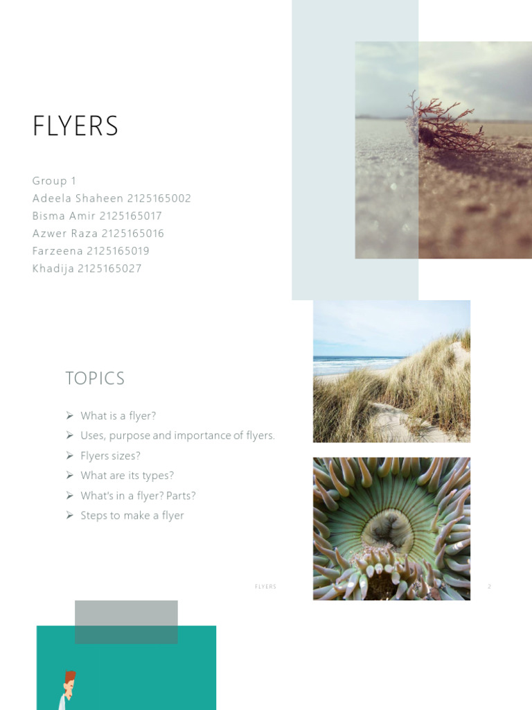 FLYERS | PDF | Human Communication | Mass Media