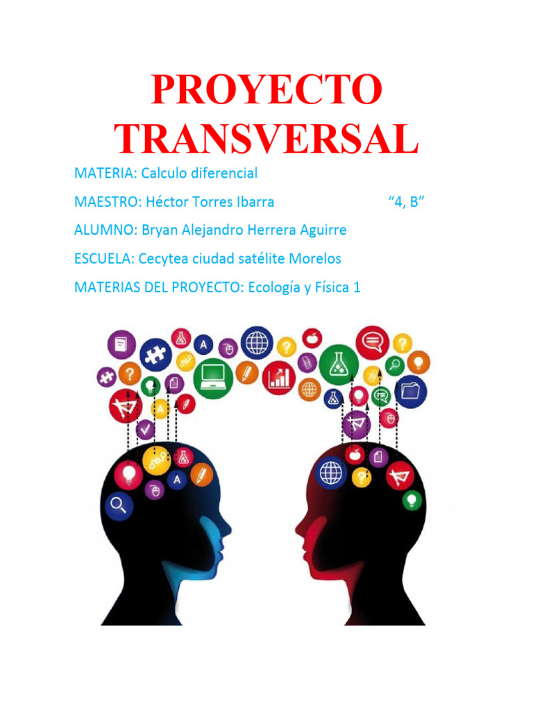 Proyecto Transversal, Calculo Diferencial | PDF