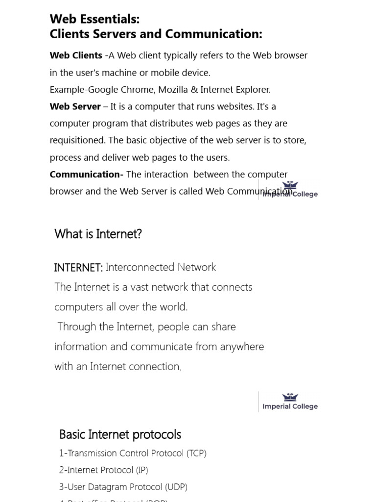 Topic 1 | PDF | World Wide Web | Internet & Web