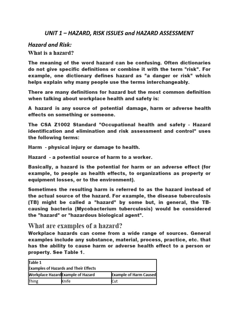 HAZARD, RISK ISSUES and HAZARD ASSESSMENT | PDF | Risk | Hazards
