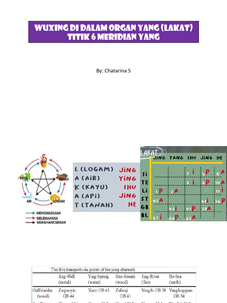 Wuxing Di Dalam Organ Yang Akupungtur | PDF