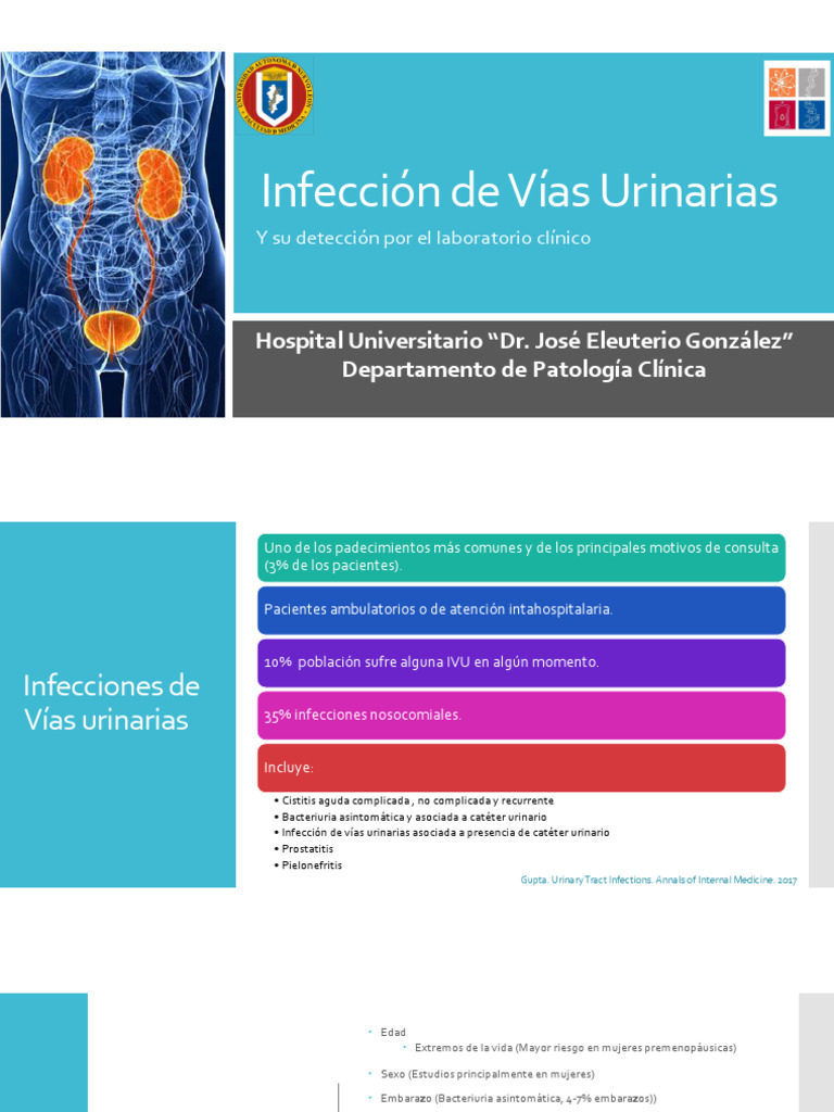 Tema 21. Infecciones Urinarias | PDF | Infección del tracto urinario ...