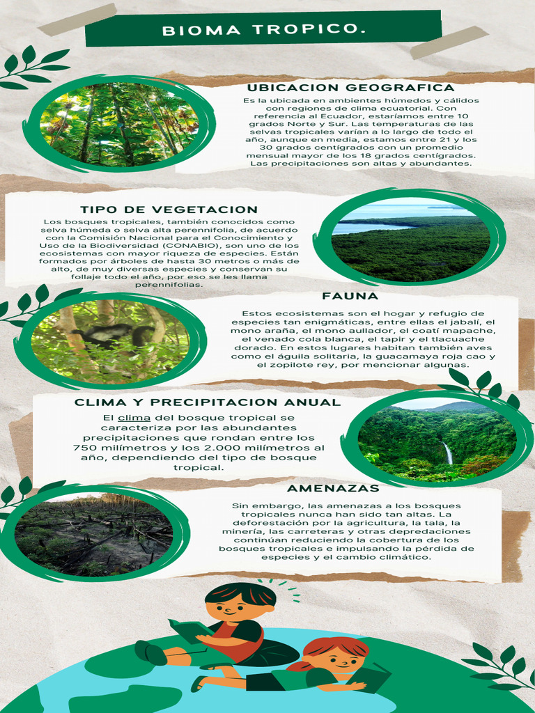 Biomas | PDF | Selva | Deforestación