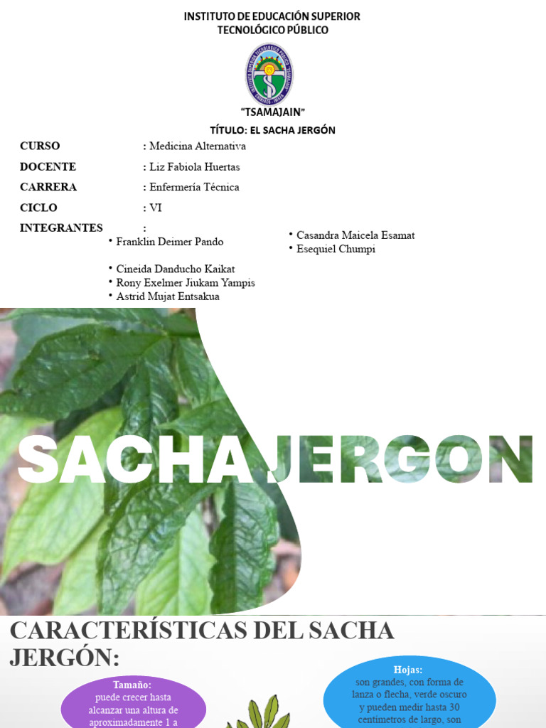 Sacha Jergon Rash | PDF | Té
