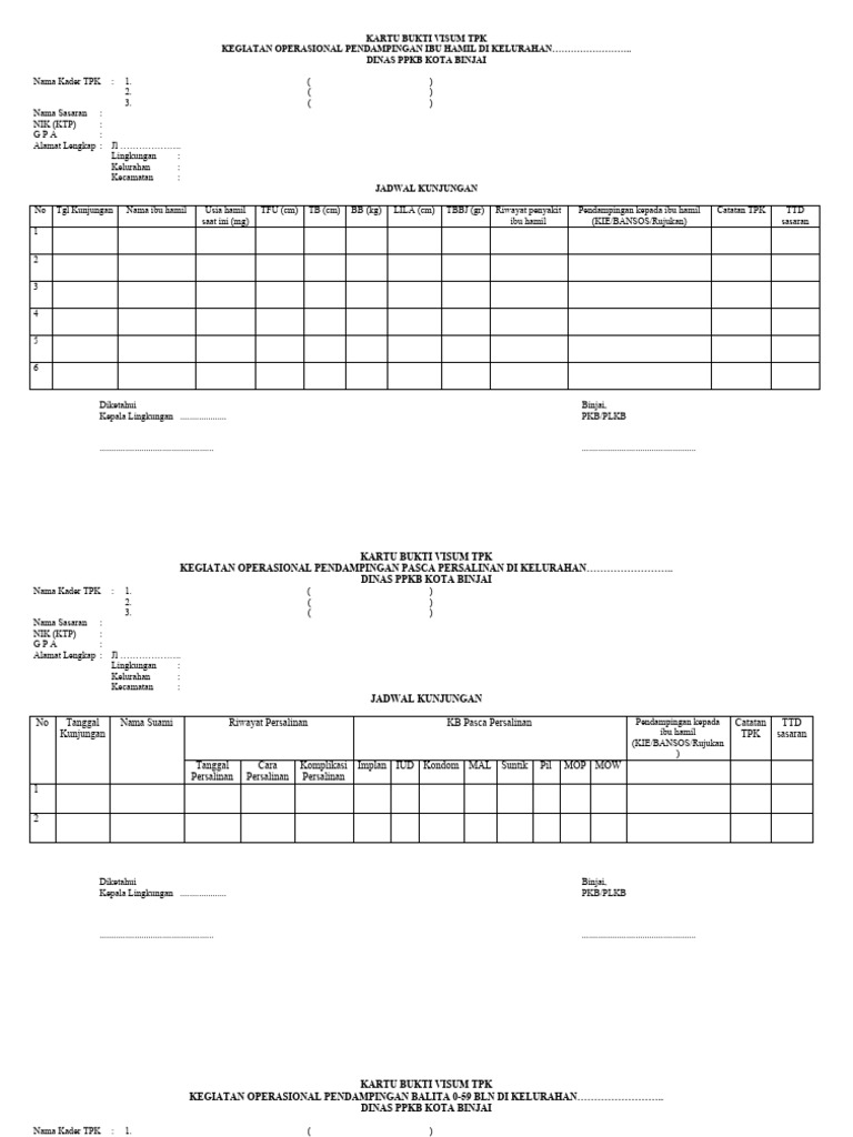 Evisum Bumil Bufas Catin Balita | PDF