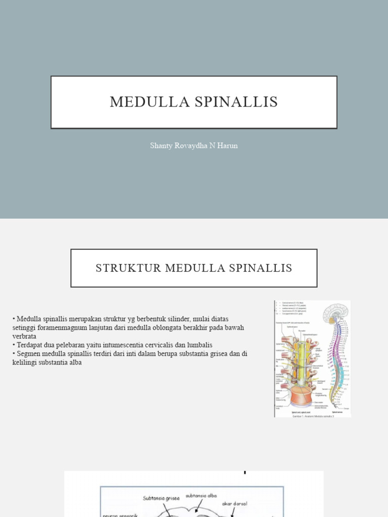 Presentasi Medulla | PDF | Seni | Agama & Spiritualitas