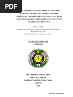Laporan Uji DCP untuk Perkerasan Jalan | PDF