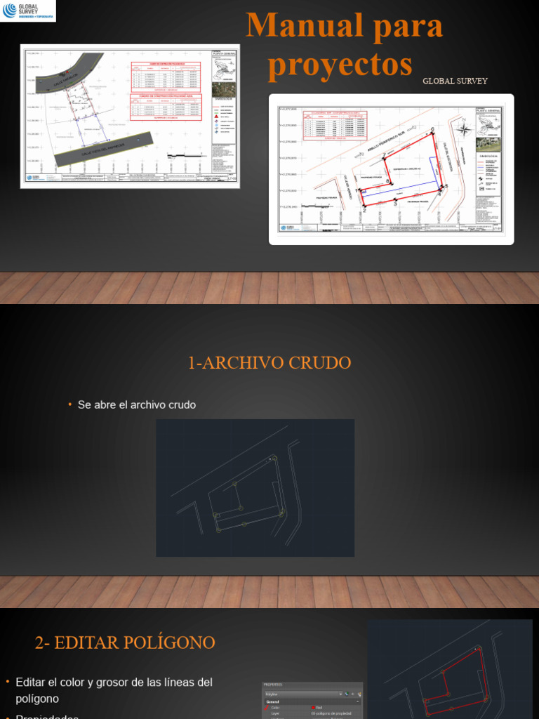 Manual para Proyectos | PDF