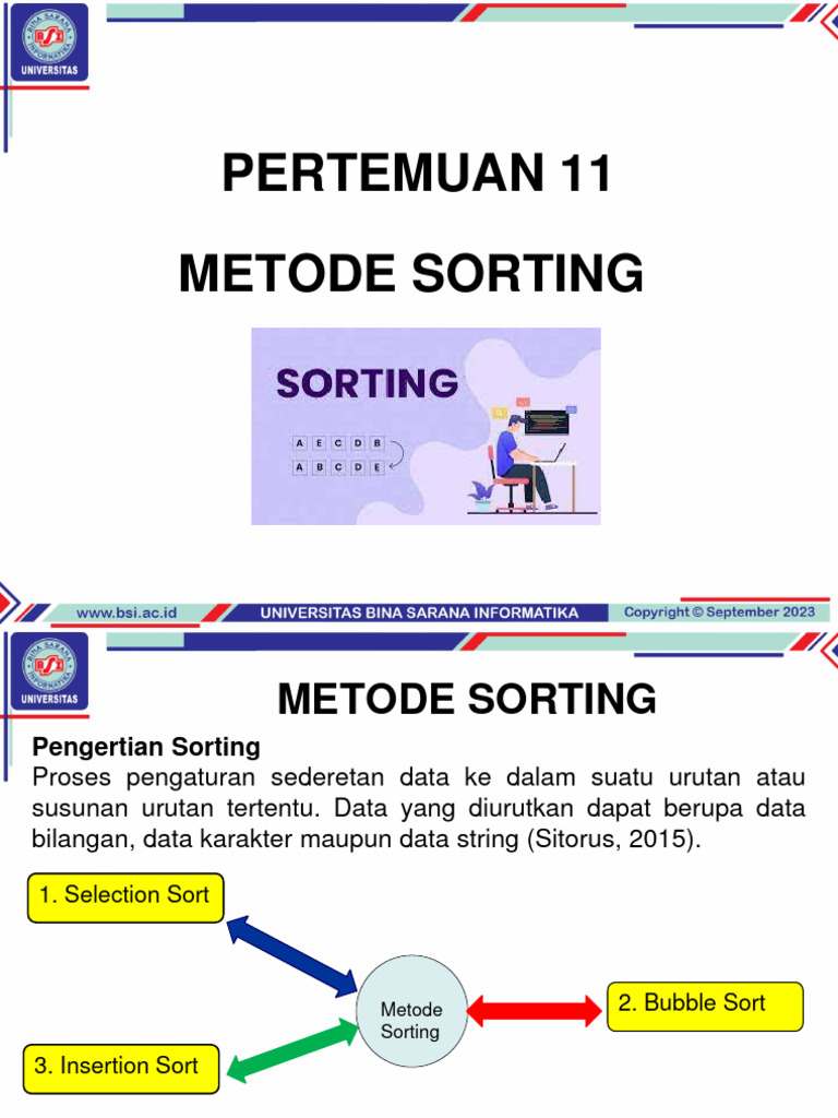 P11 Sorting | PDF